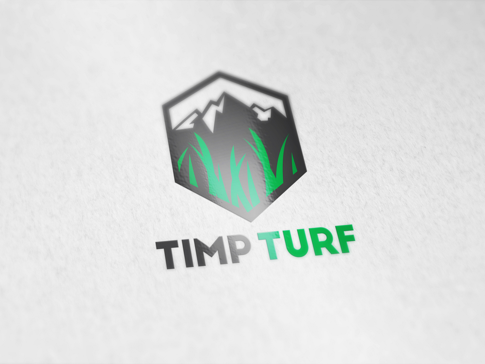 Timp Turf Logo Design by Jordon Mazziotti on Dribbble