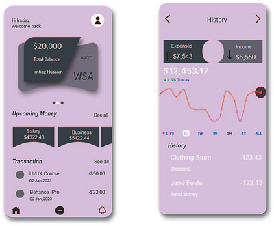 Money Track Interface by Imtiaz hussain on Dribbble