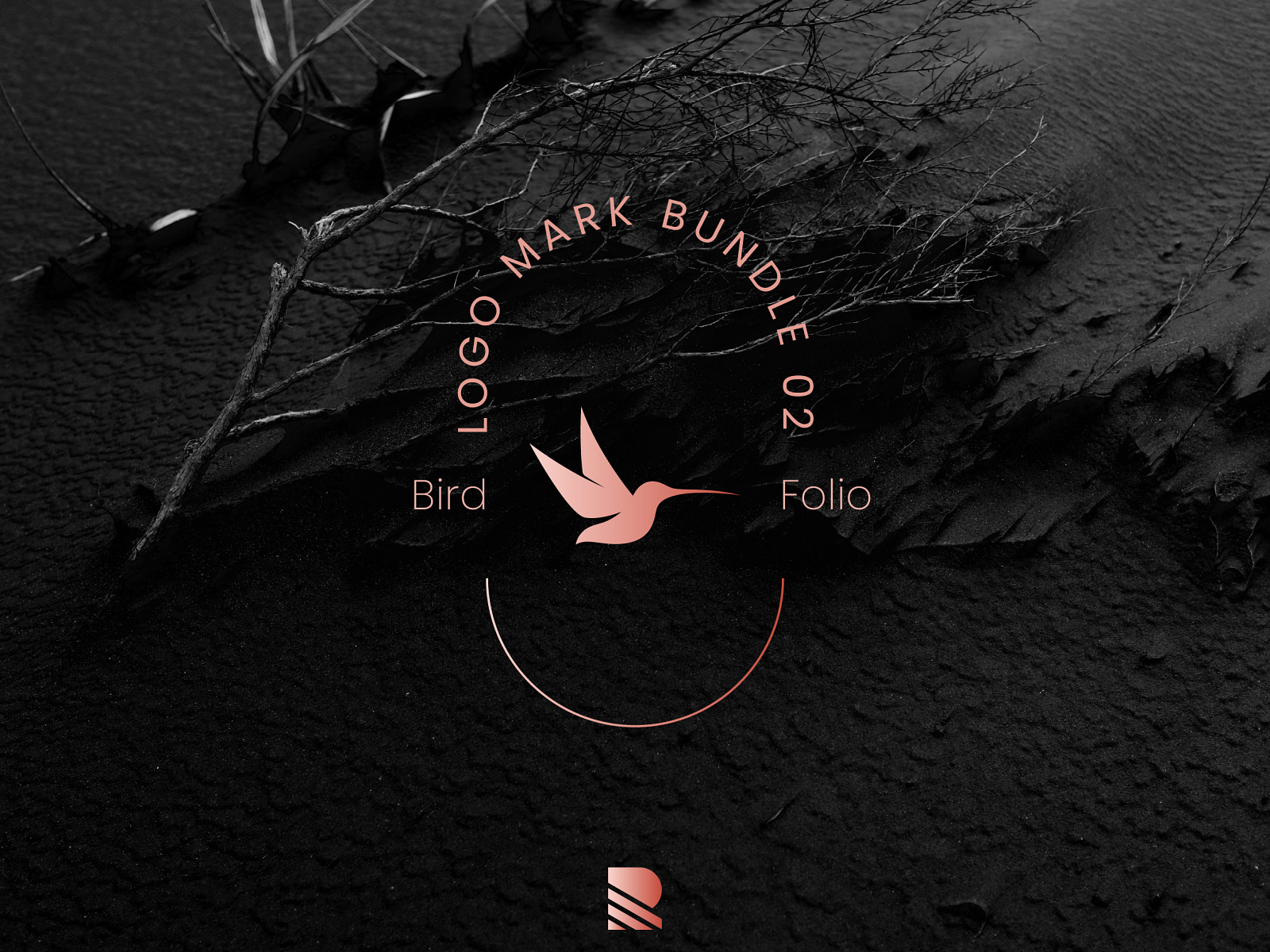 Rakibul Islam | Dribbble