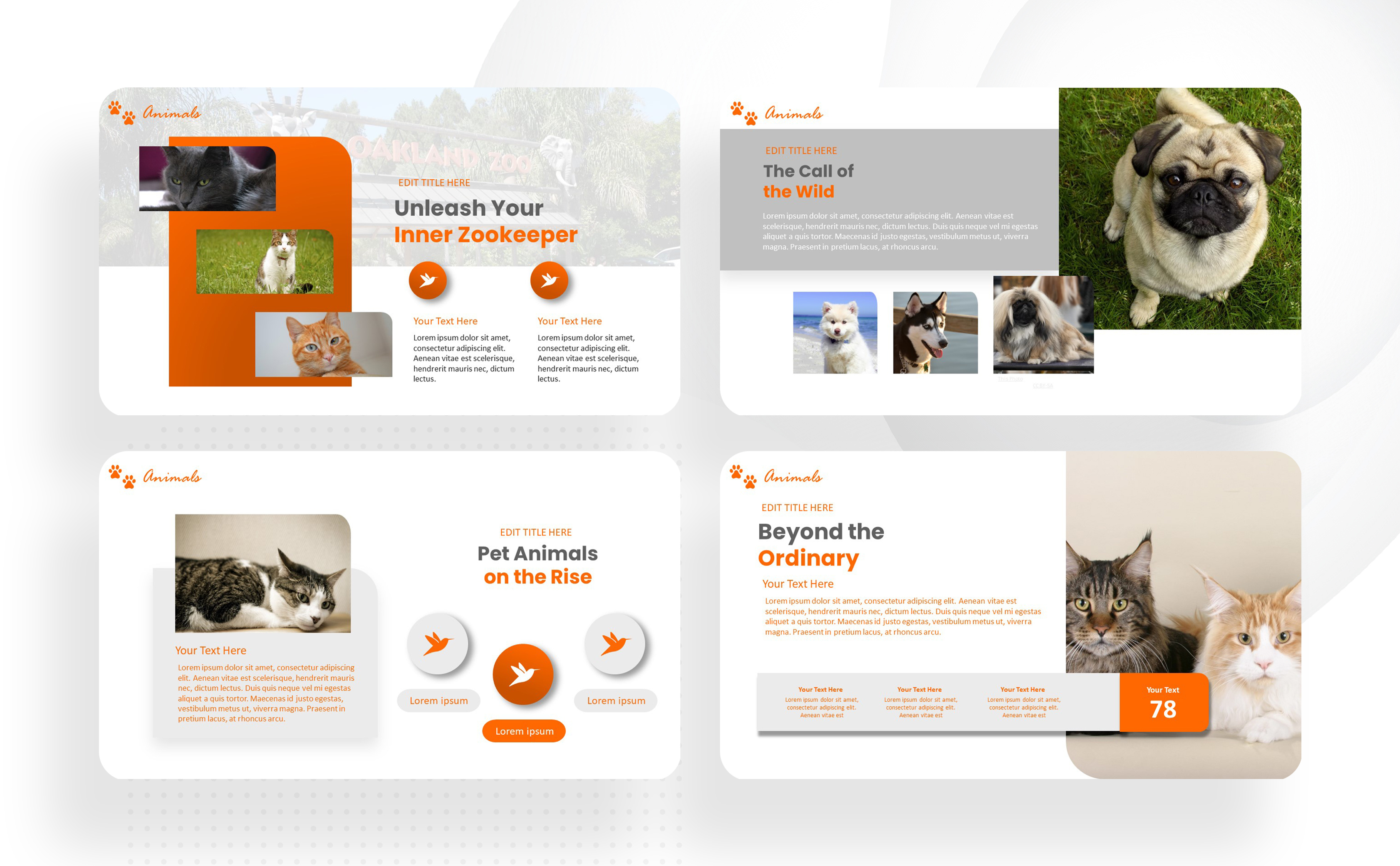 Pet - Powerpoint Template by Interpitch on Dribbble