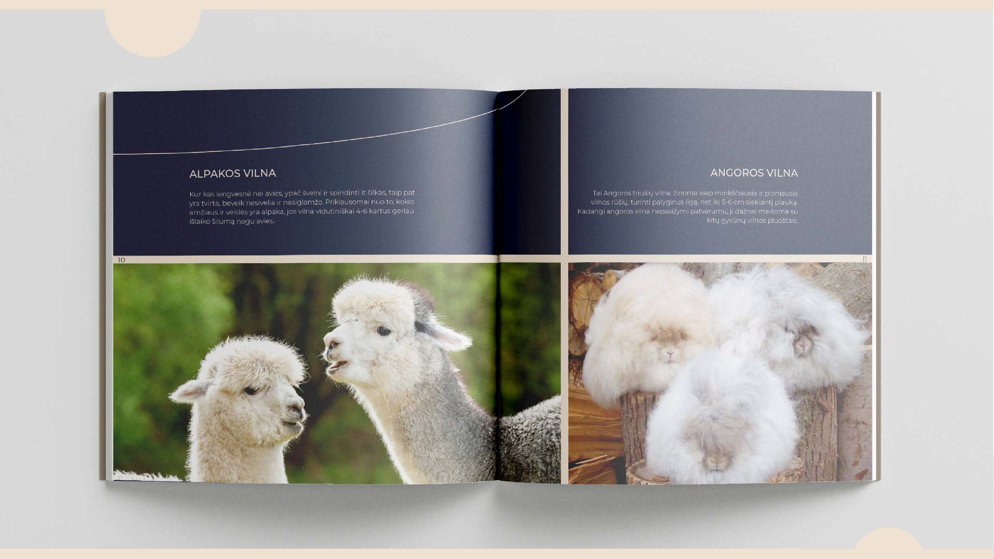 Wool Book Design Layout by MakeTone on Dribbble