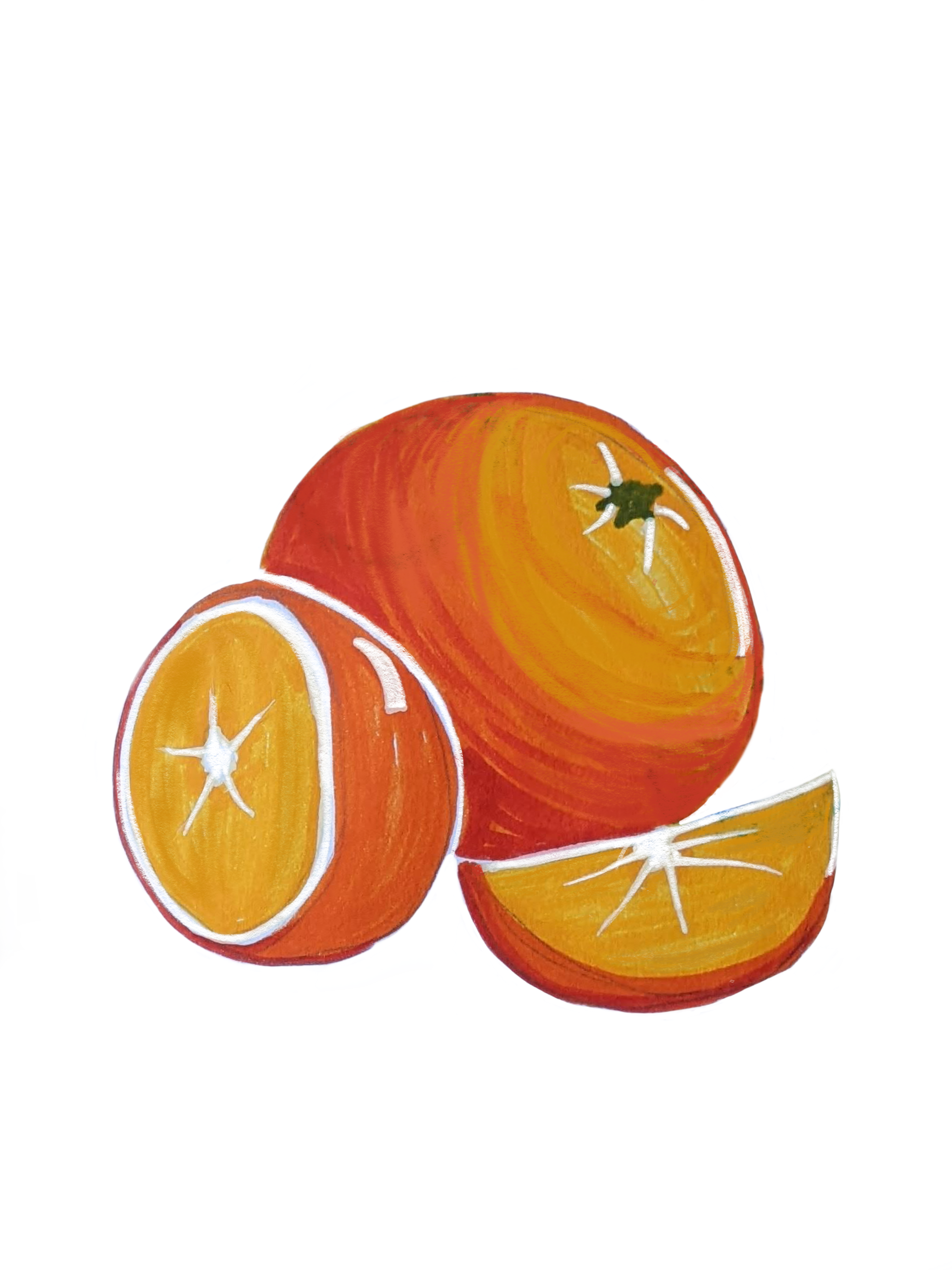 Citrus Fruit designs, themes, templates and downloadable graphic ...