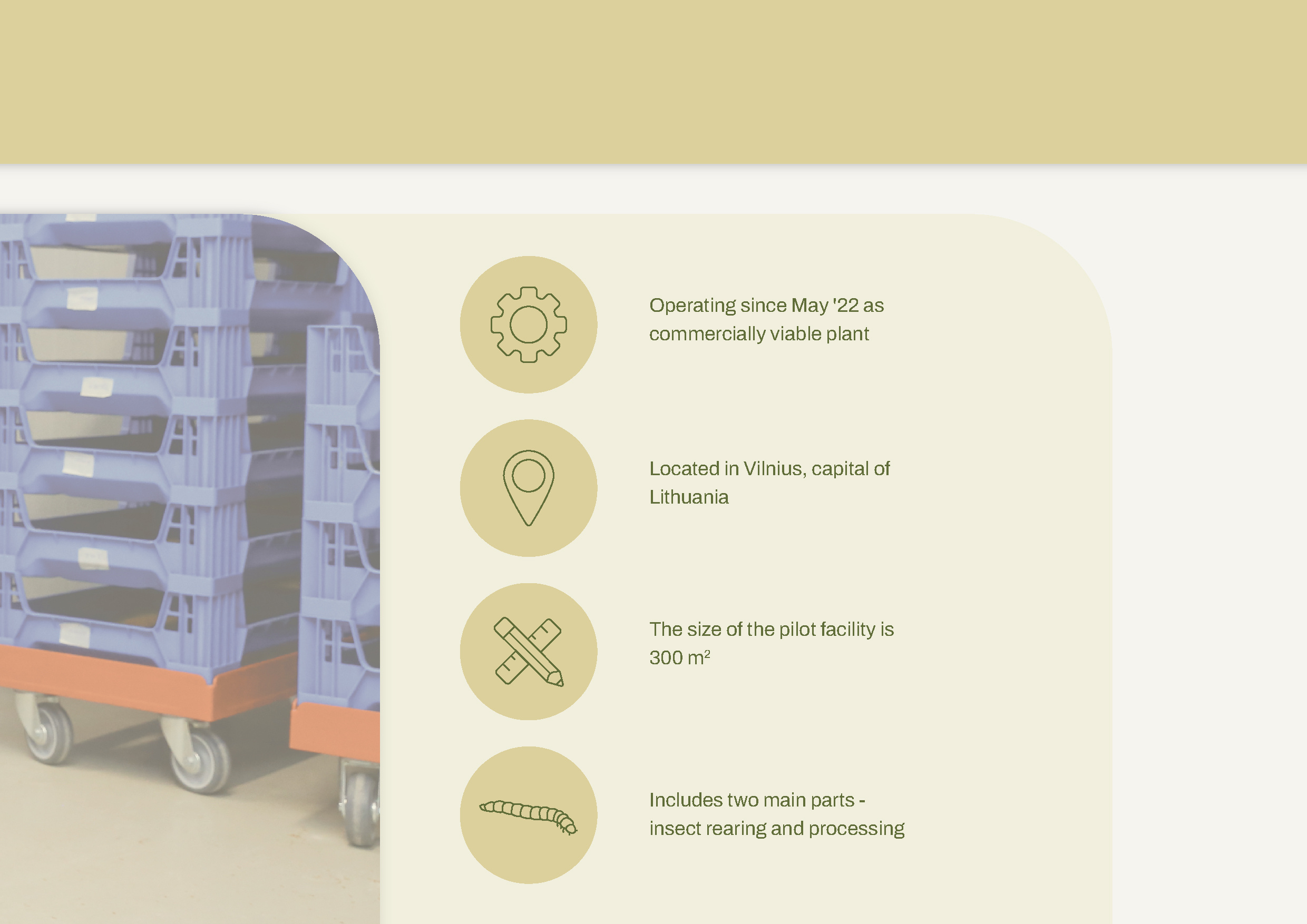 Insect Protein Solutions Brochure Layout by MakeTone on Dribbble