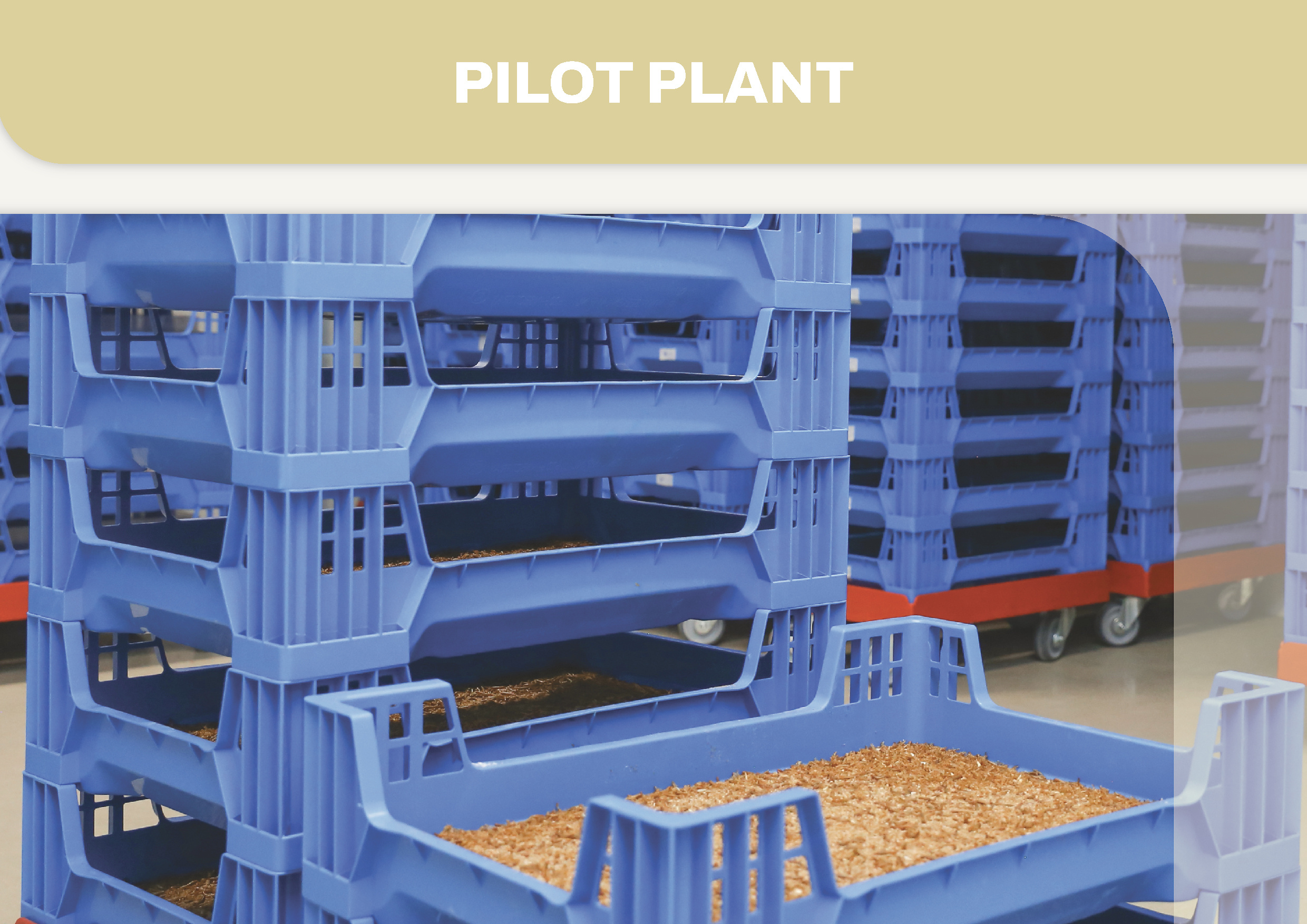 Insect Protein Solutions Brochure Layout by MakeTone on Dribbble