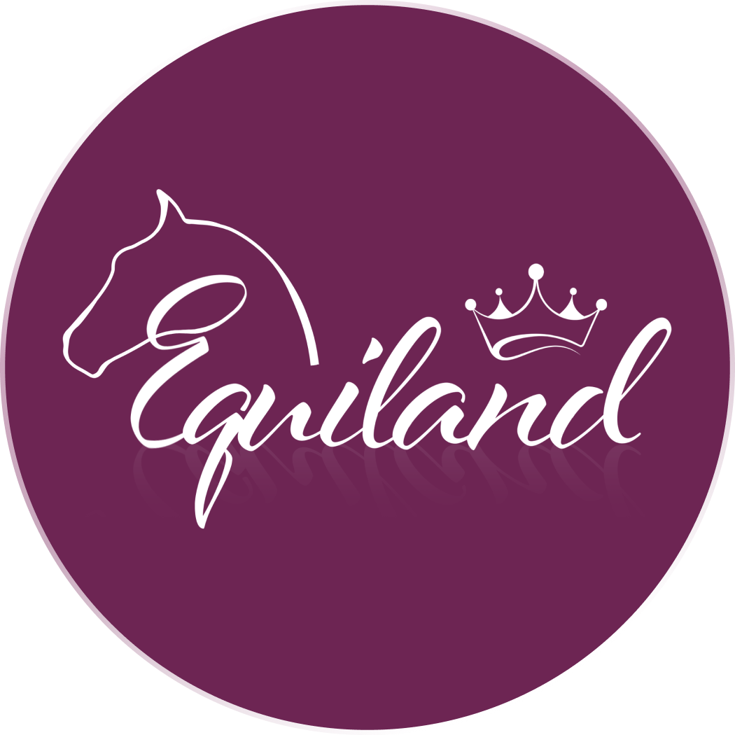 Stable Logo by Aleksandra on Dribbble