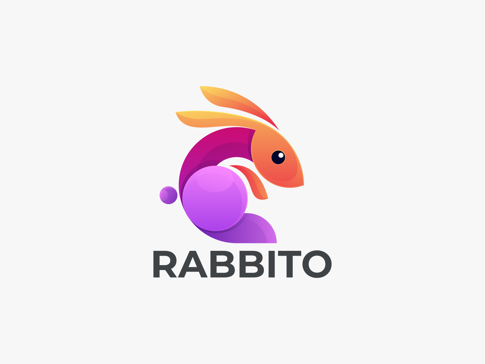 RABBITO by MT Projectss on Dribbble