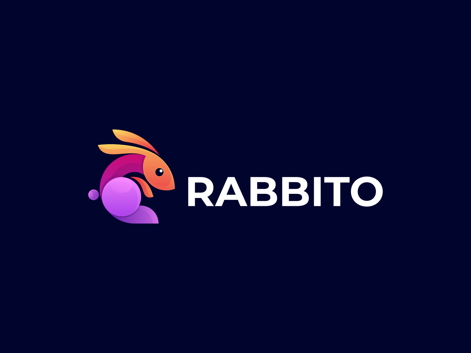RABBITO by MT Projectss on Dribbble