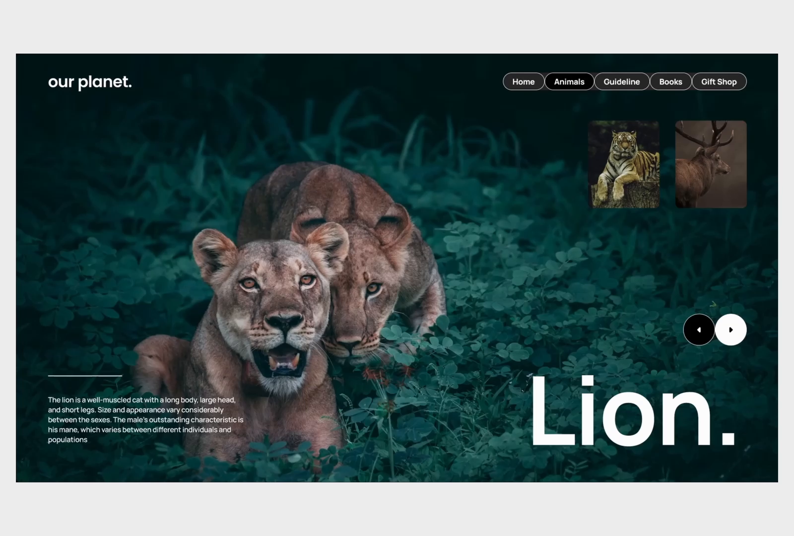 Planet - Website Design Concept by Pixavail Studio™ on Dribbble
