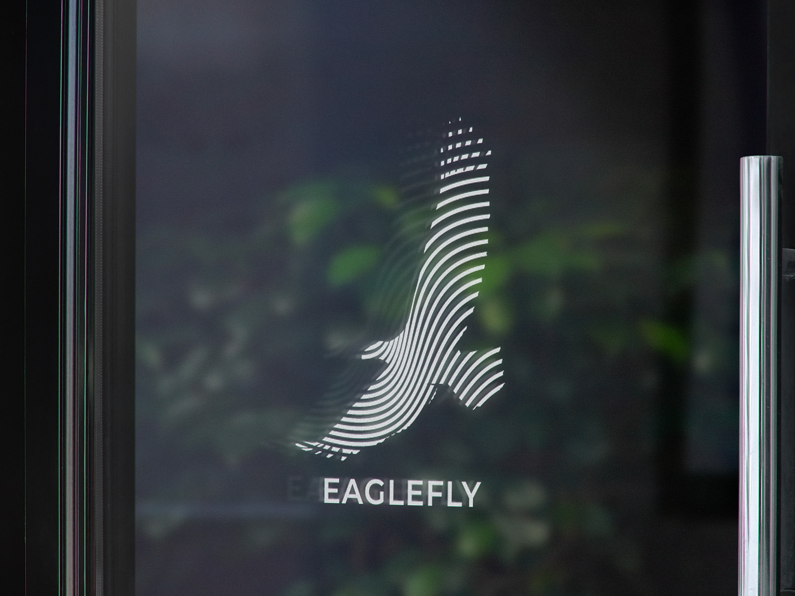Eagle logo by Nazarii on Dribbble