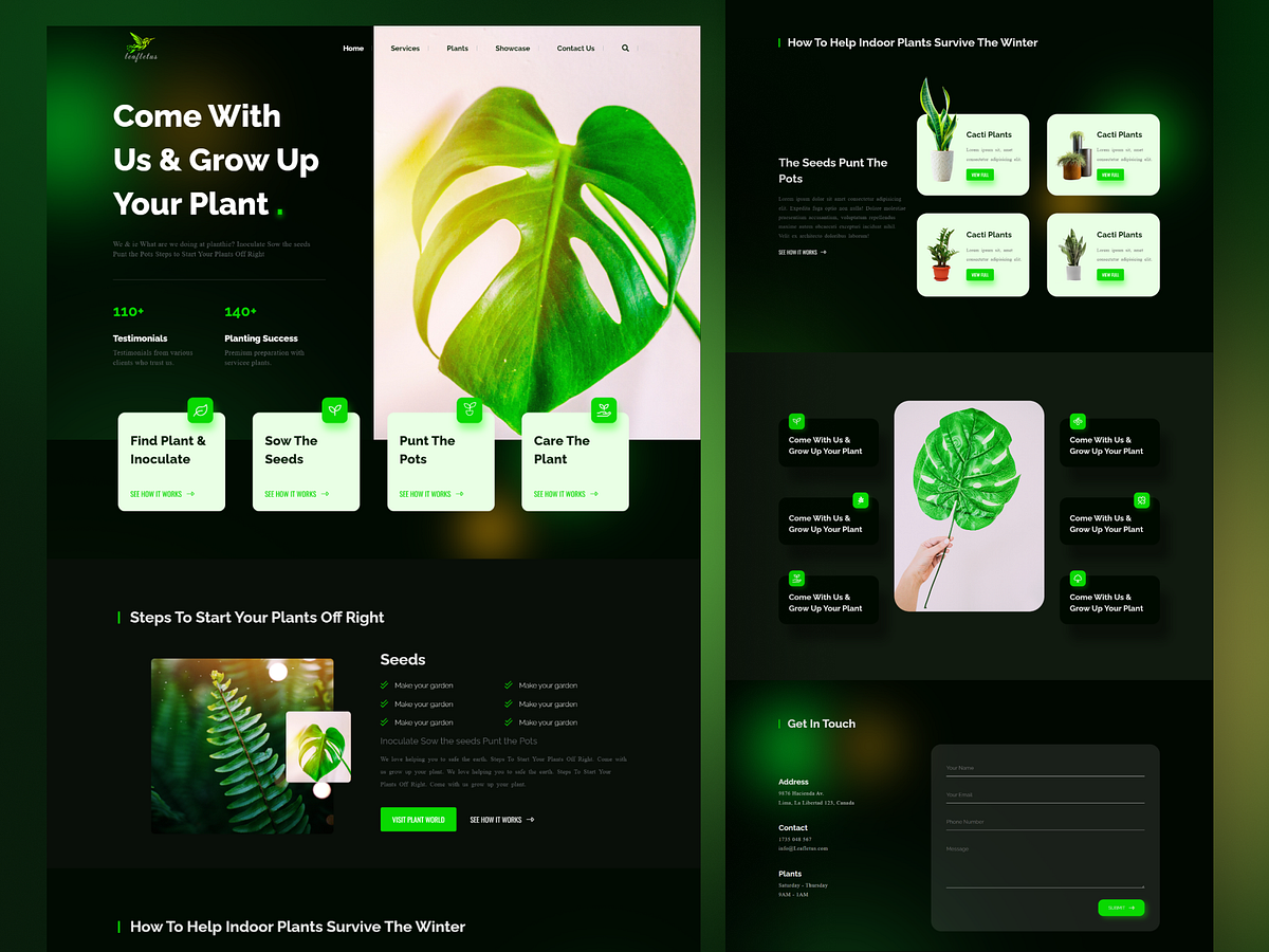 Browse thousands of Plant Page images for design inspiration | Dribbble