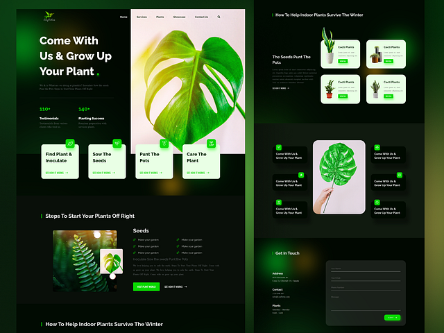 Browse thousands of Plant Page images for design inspiration | Dribbble