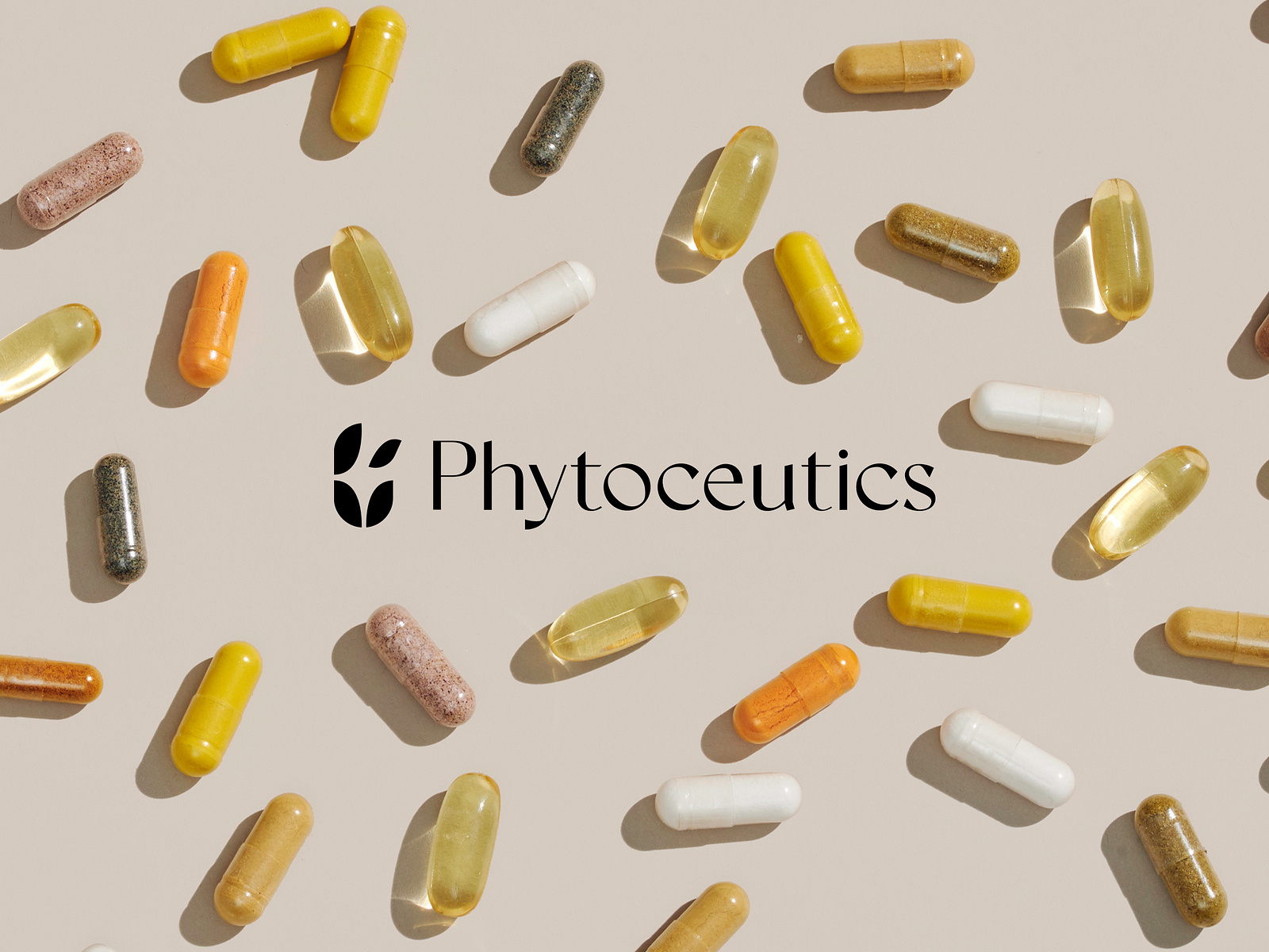 Phytoceutics Brand by Studio Co. on Dribbble