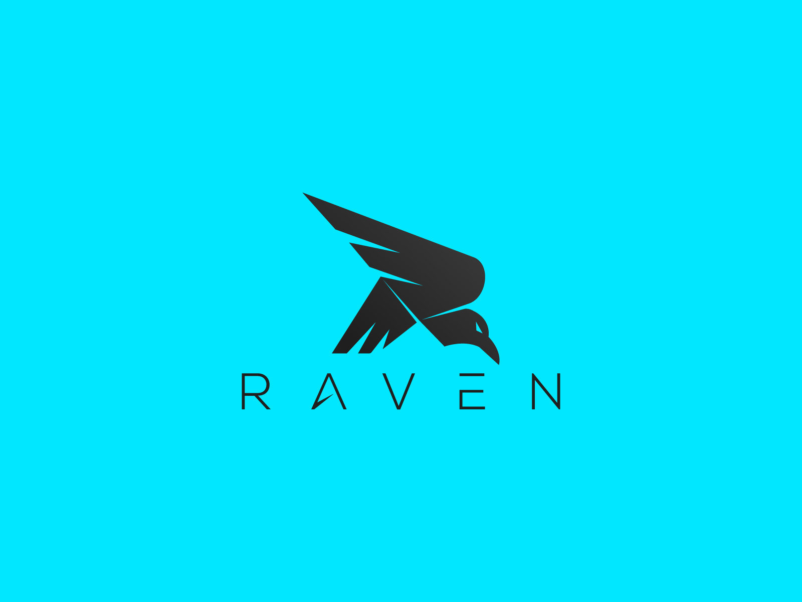 Raven Logo by Ben Naveed 🇺🇸 on Dribbble