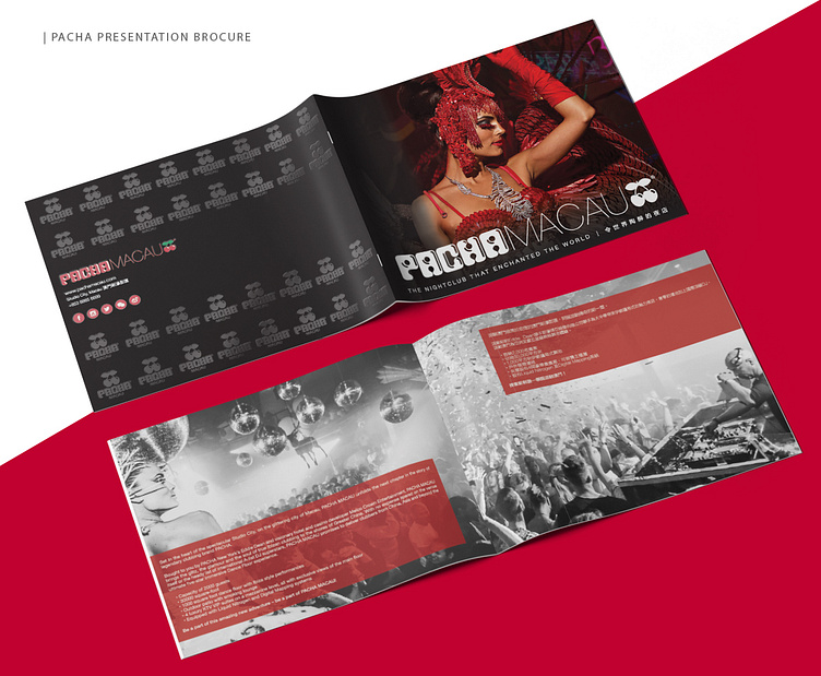 Pacha - graphic design by Sancha Garcia e Costa on Dribbble