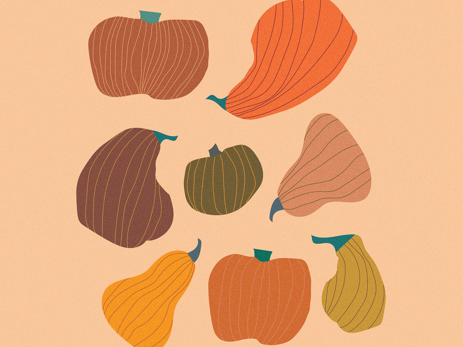 Squash! by Moriah Bender on Dribbble