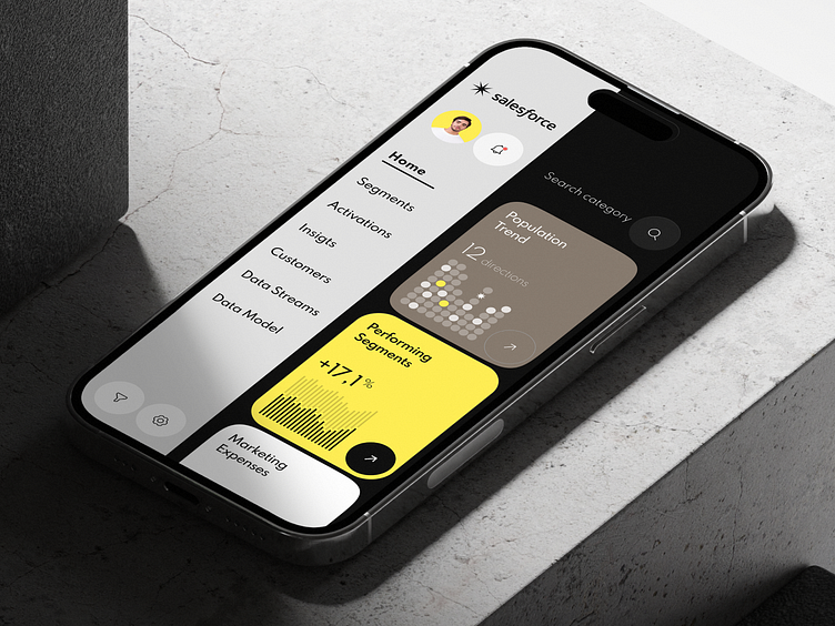 Salesforce Market Segmentation App By Mari S For Rondesignlab ⭐️ On Dribbble