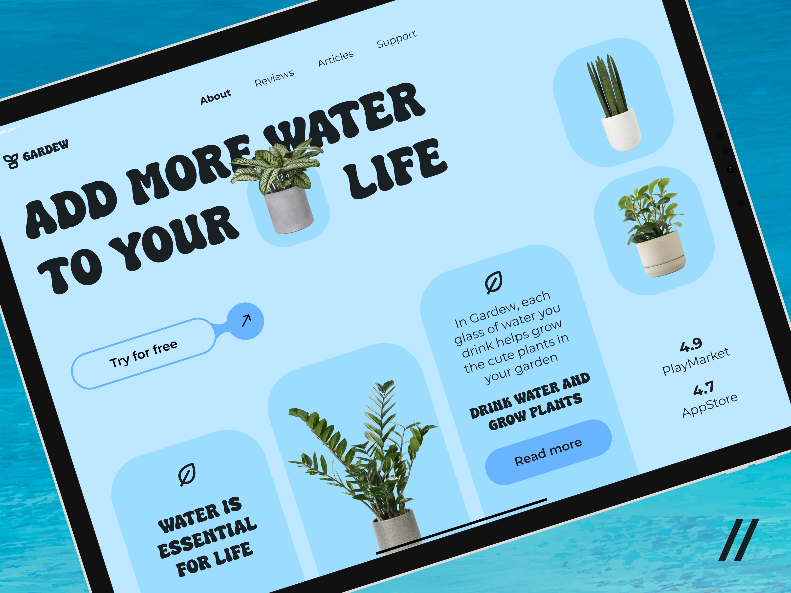 Water Intake Tracker Web Platform by Purrweb UI/UX Agency on Dribbble