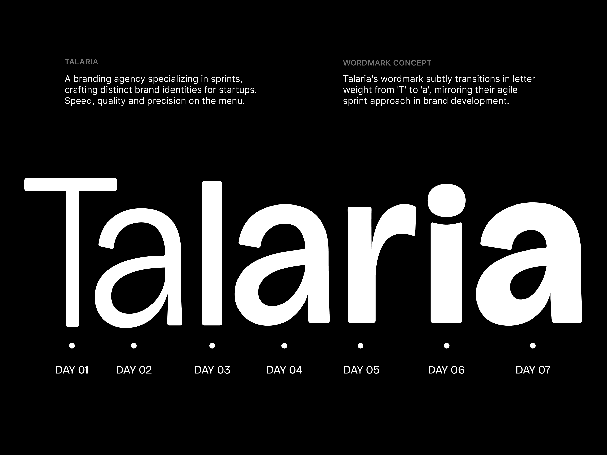 Talaria — Custom Wordmark by Lance on Dribbble
