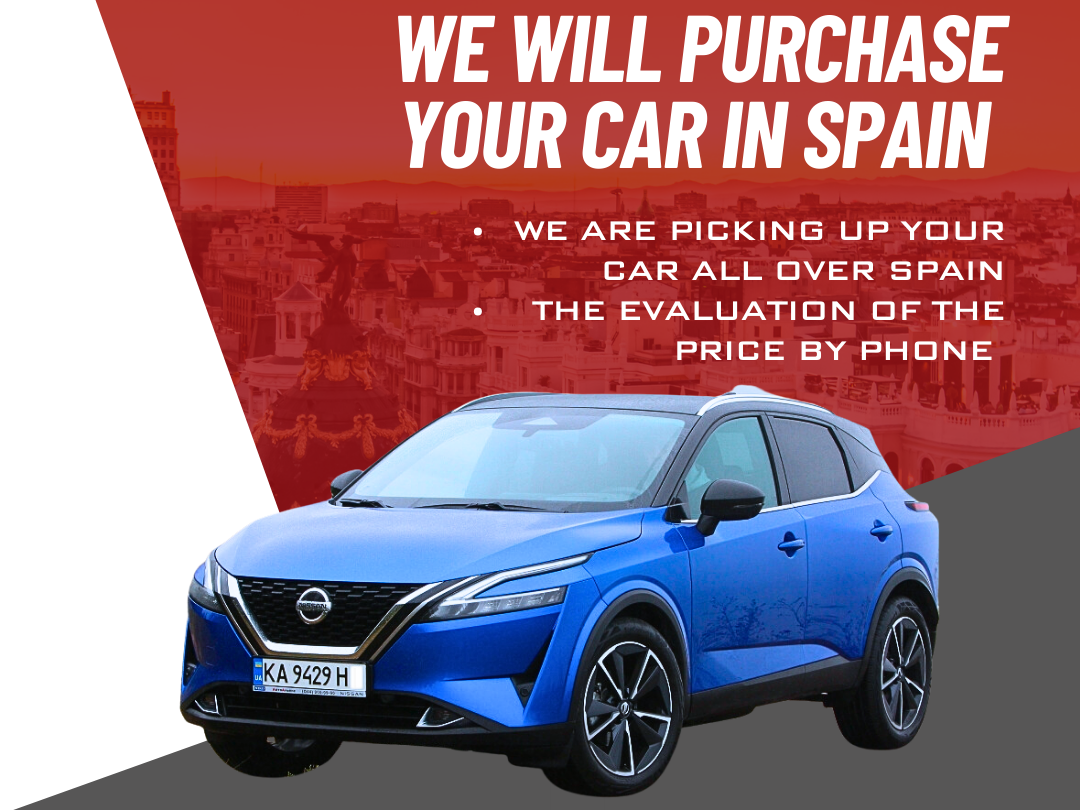 Car dealership: Trade-in-Motors by Silva Agency on Dribbble