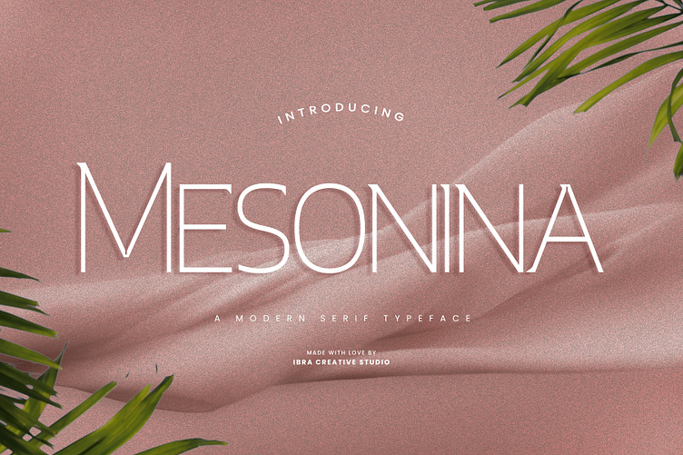 Mesonina – A Modern Serif Typeface by Ibra Creative on Dribbble