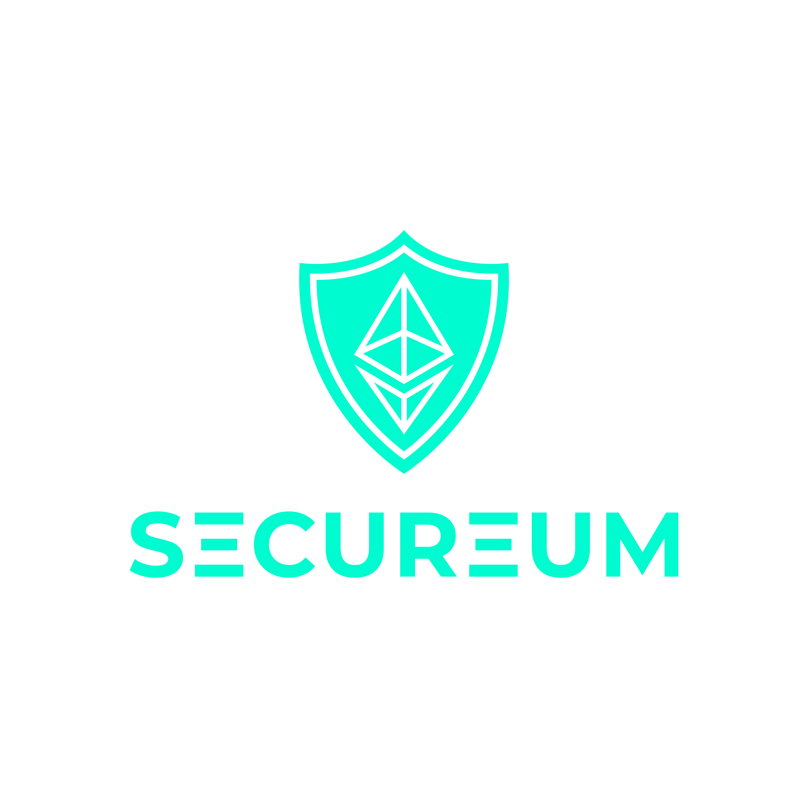 Secureum Branding by Anand Peter on Dribbble
