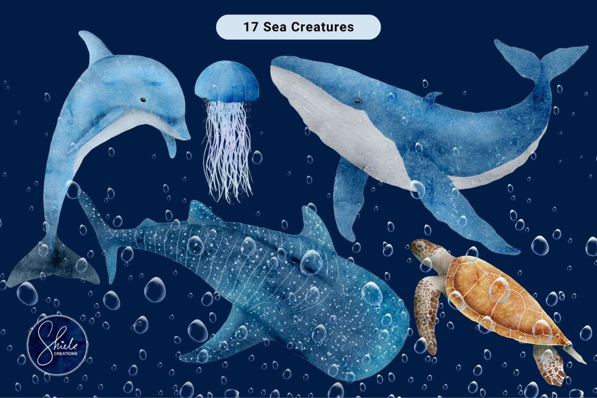 Sea Creatures - Watercolor Clipart by Shiela C. on Dribbble