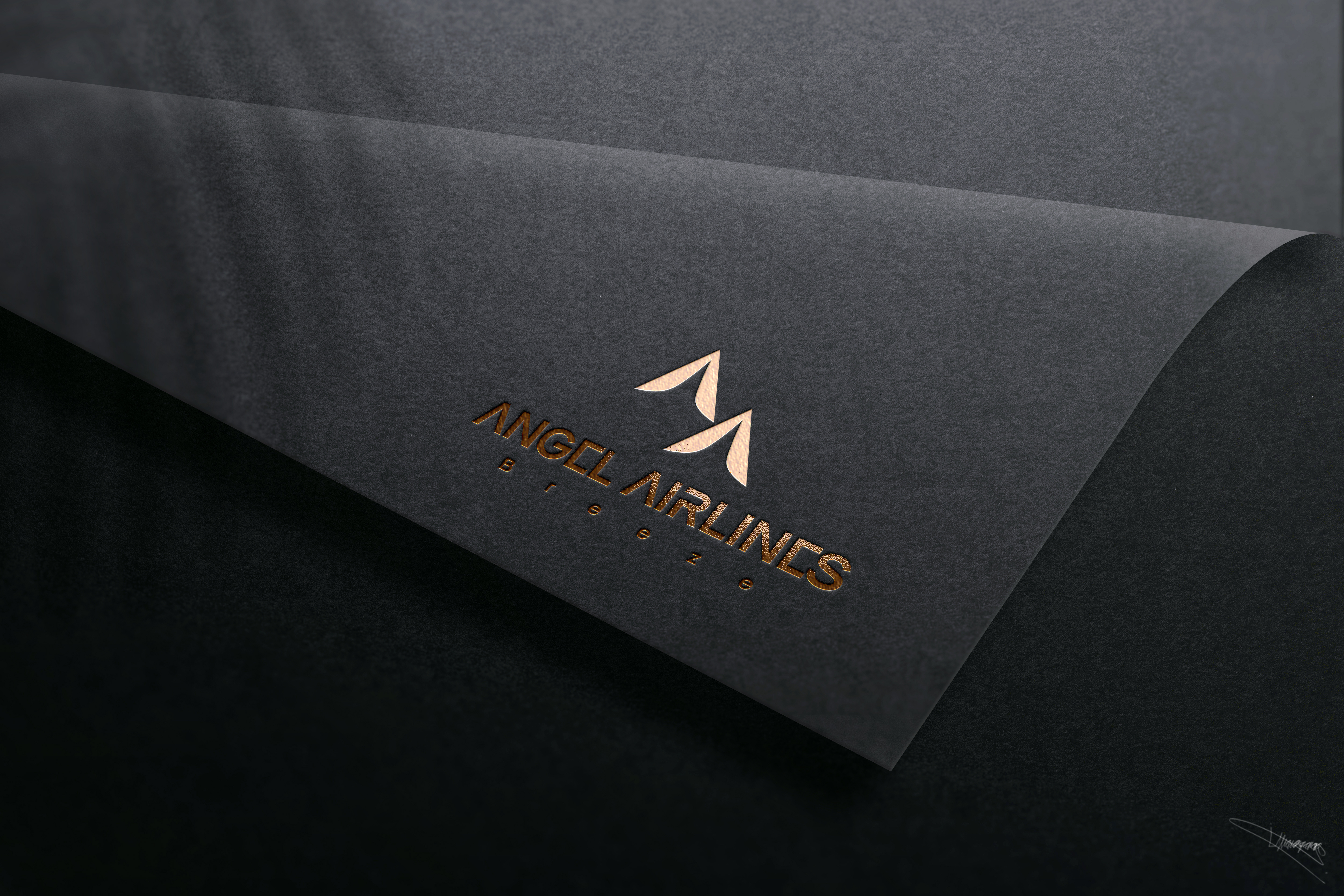 Angel Airlines Logo by Livumile Magoqwana on Dribbble