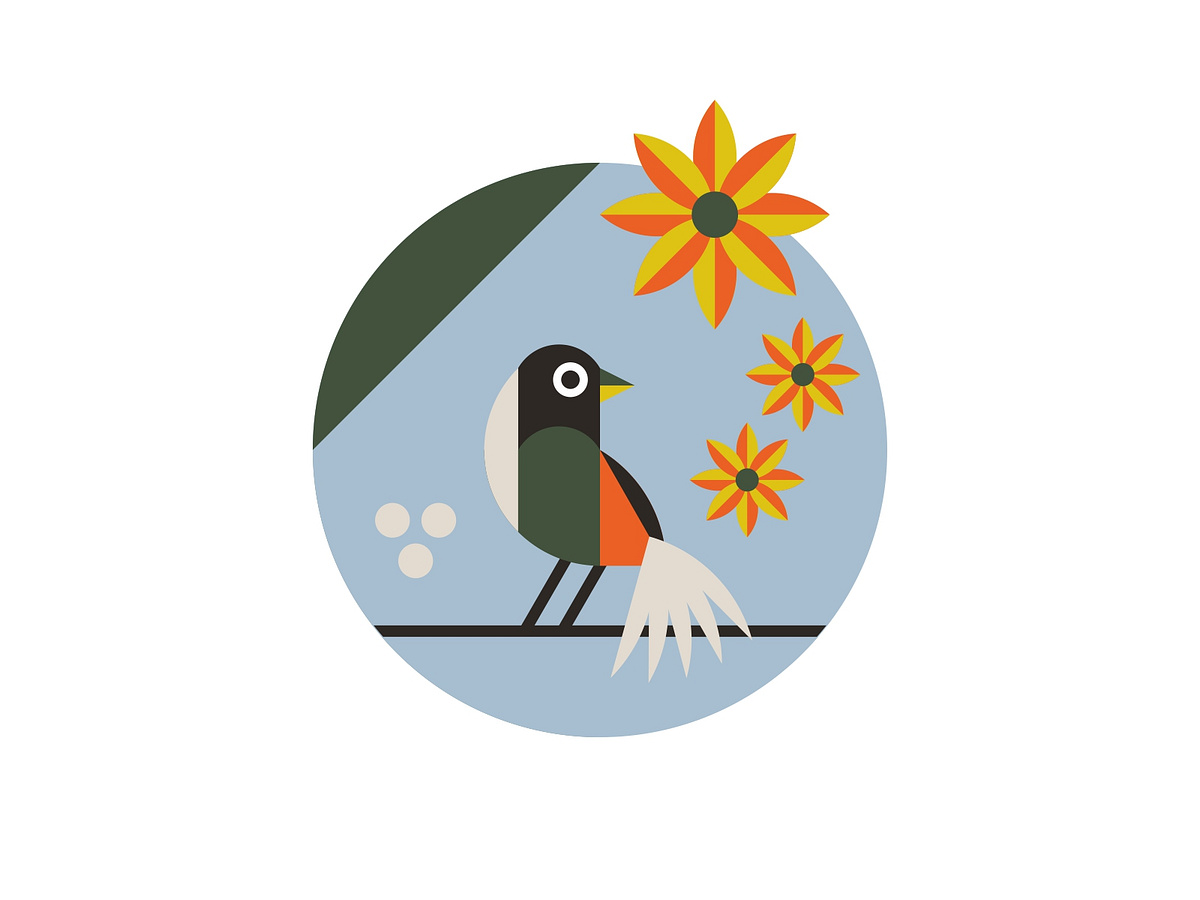 Browse thousands of Bird images for design inspiration | Dribbble