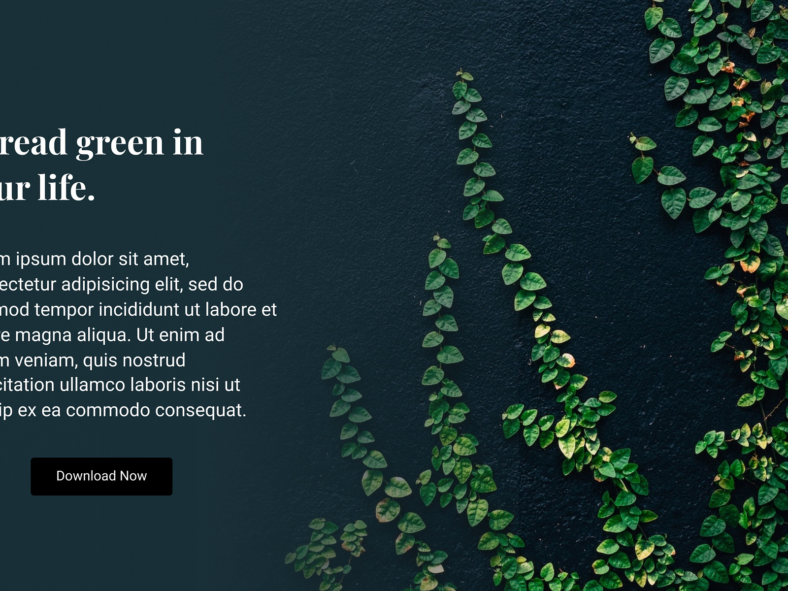 Beautiful overlay design for hero section by Shibrah Rafaqat on Dribbble