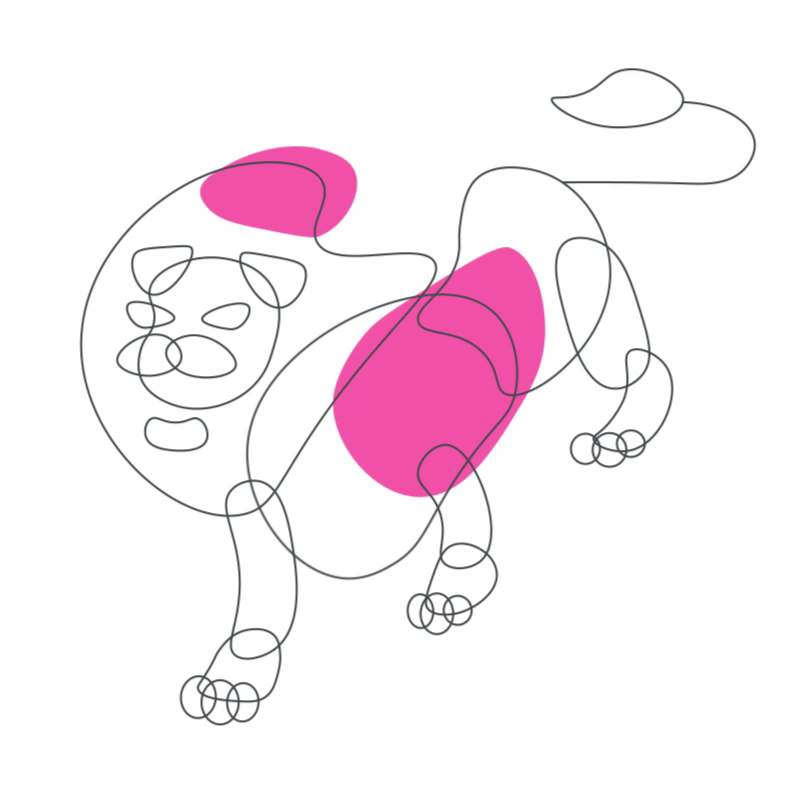 Astrology Animation 06 - Leo by Anna on Dribbble