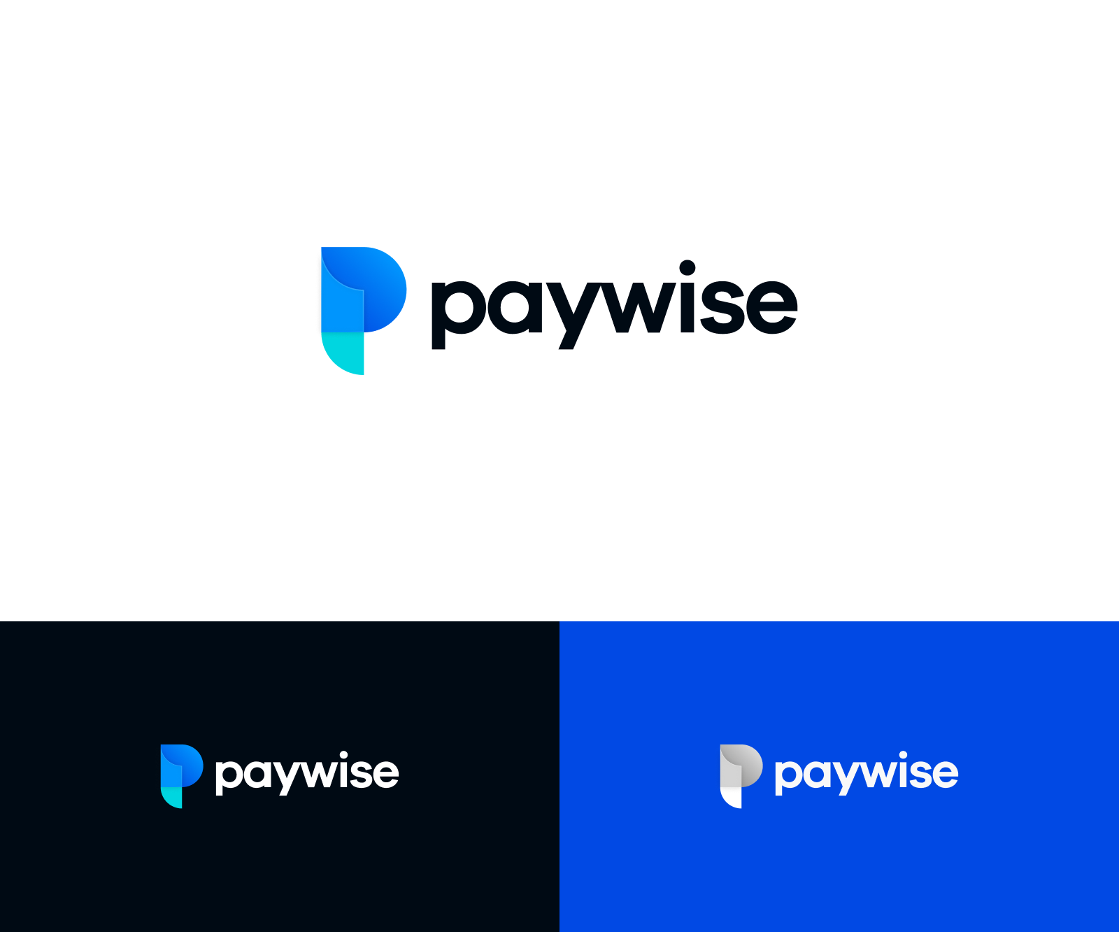 Paywise - Finance Brand Guidelines by Habito Design for Habito on Dribbble