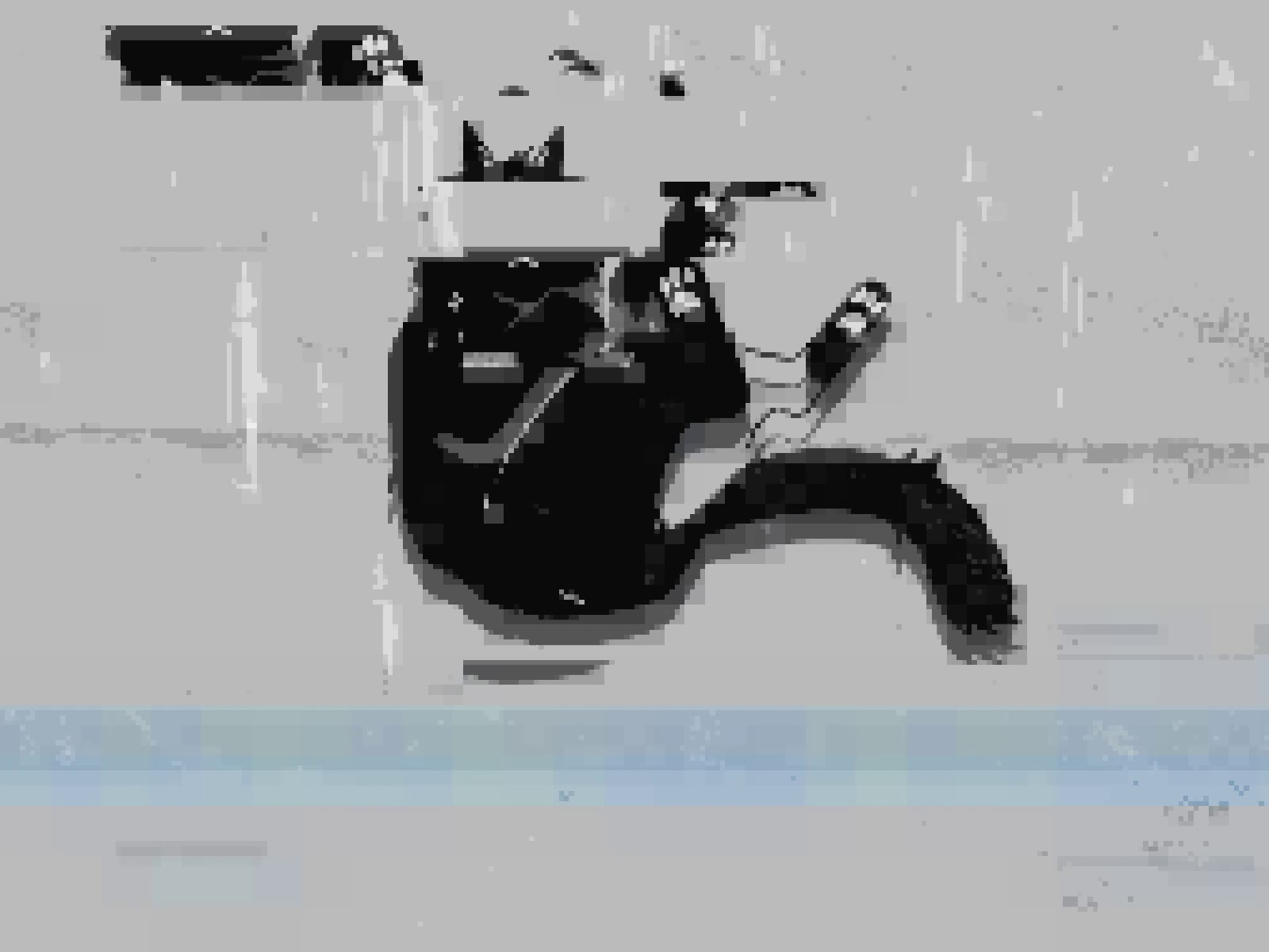 Happy Halloween - Spooky 2D Cat Animation by unicorn.arts on Dribbble