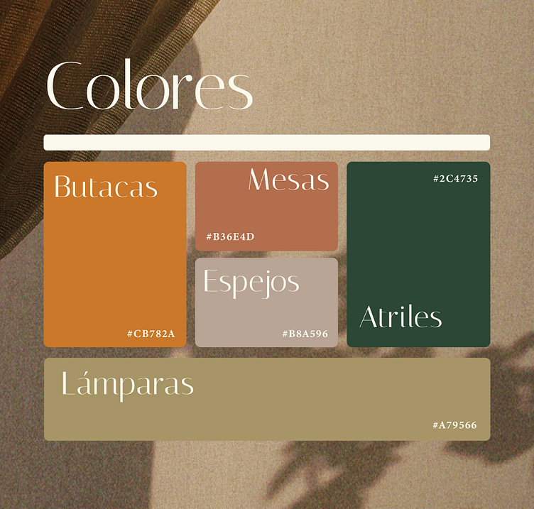 BAHO Catalogue by Ana González on Dribbble