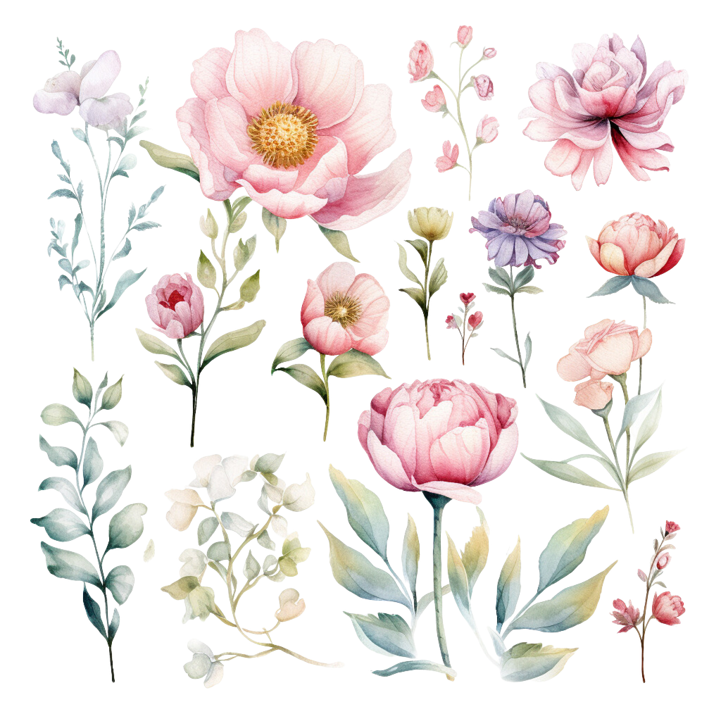 Watercolor Botanical Clipart by Katia on Dribbble