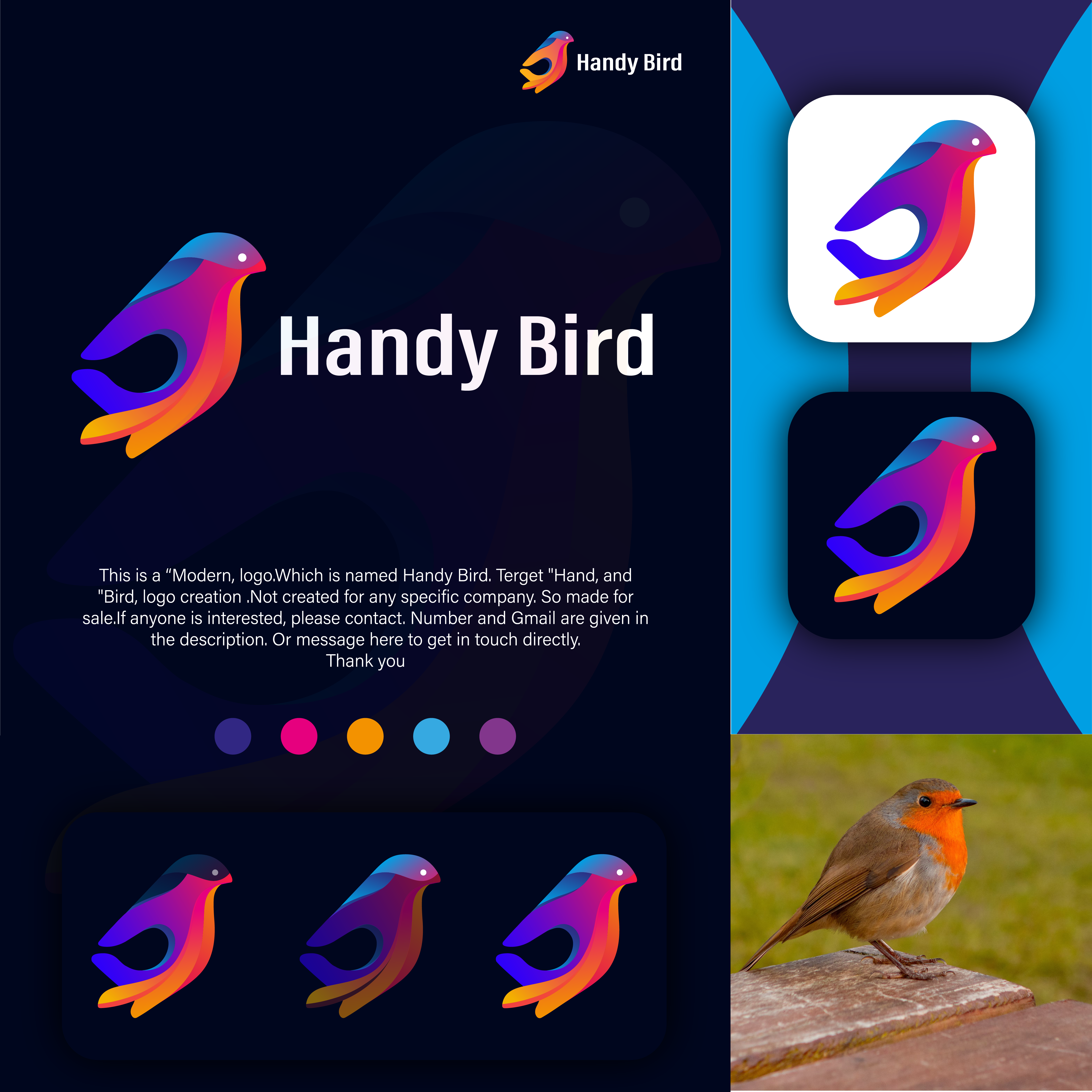 Bird logo | Brand Identity | Handy Bird by Md Tamim Islam on Dribbble
