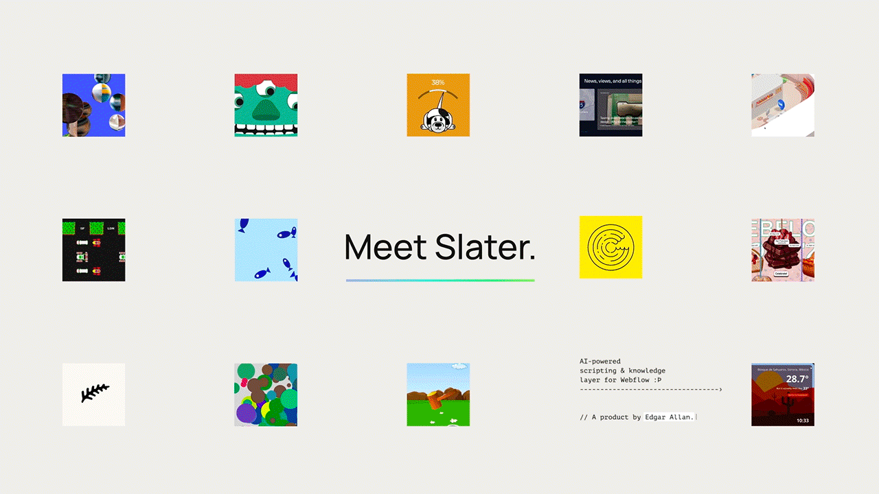 Slater App - For Weblow by Fern on Dribbble
