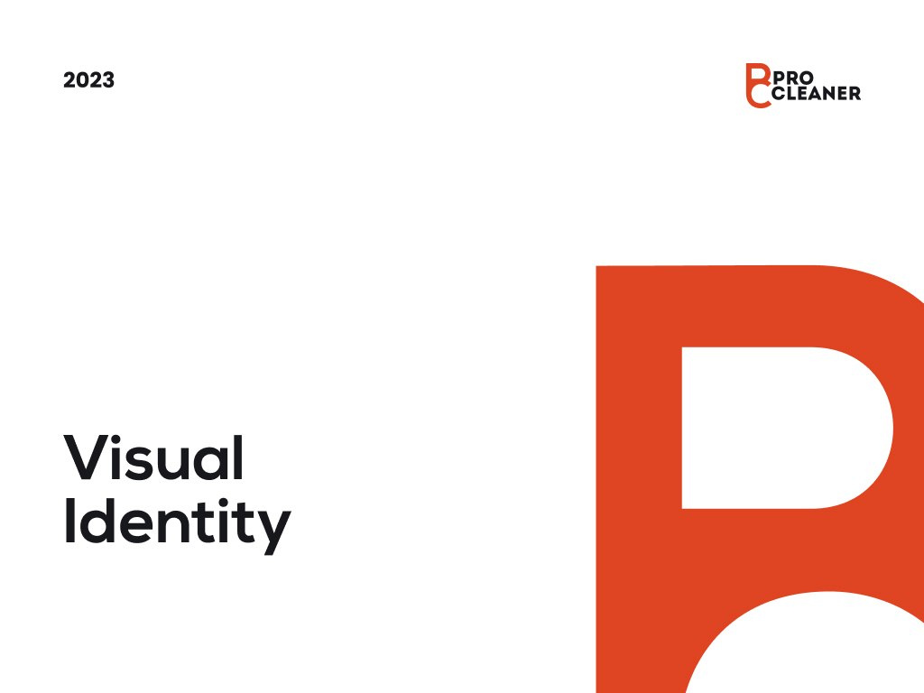 Pro Clean - Logo by Alla Tamashkyna on Dribbble