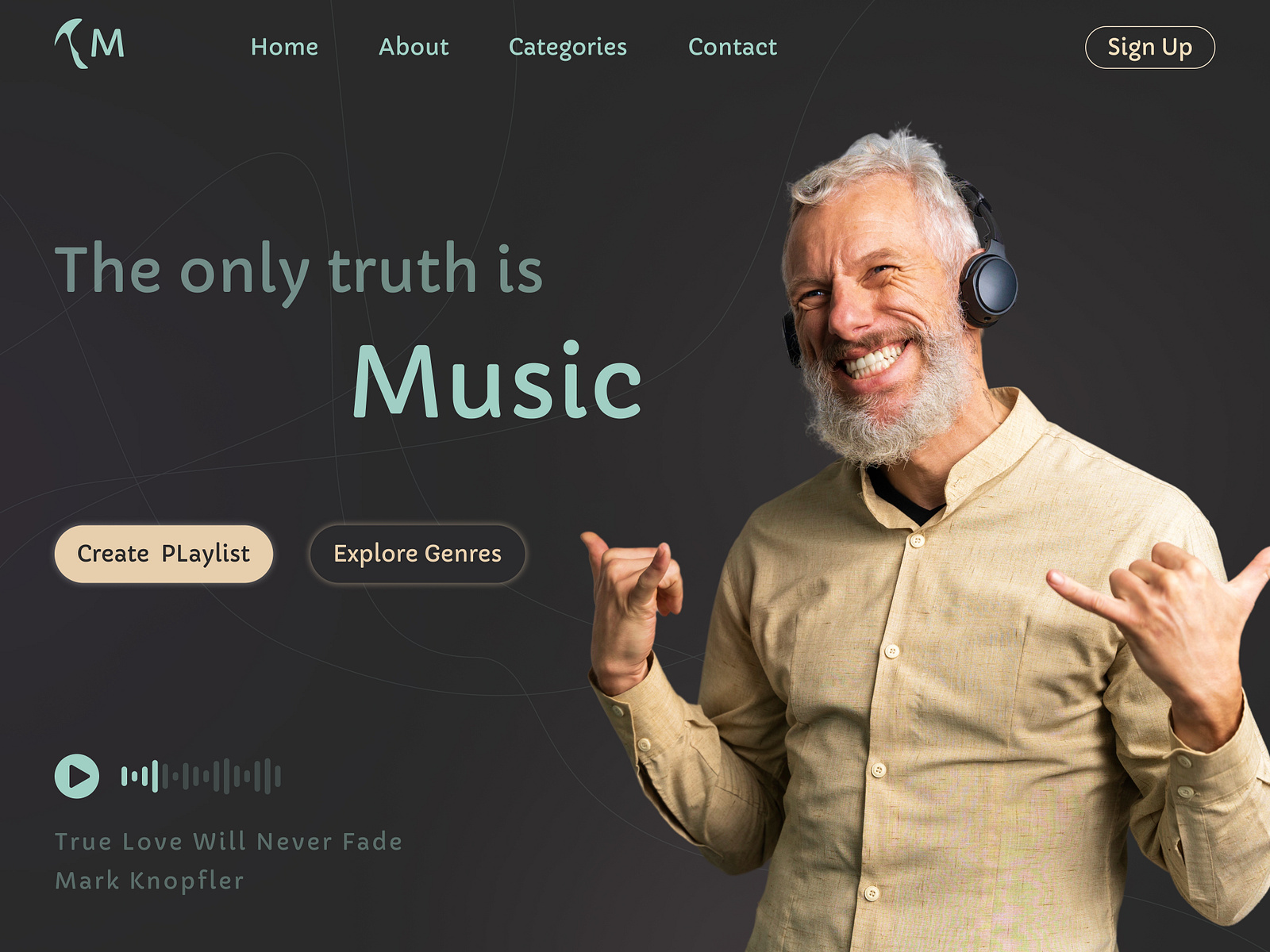 True Music - Music Website UI concept by Reza Atashi on Dribbble