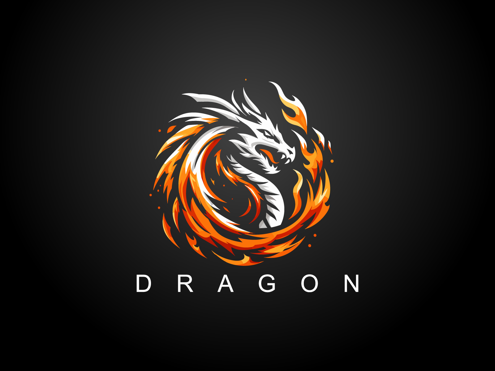 Dragon Logo by Austin Smith on Dribbble