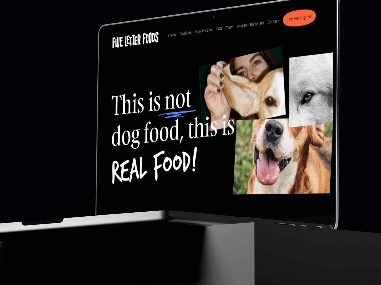 Real Food for Dogs by Most Studios on Dribbble