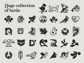Browse thousands of Bird images for design inspiration | Dribbble