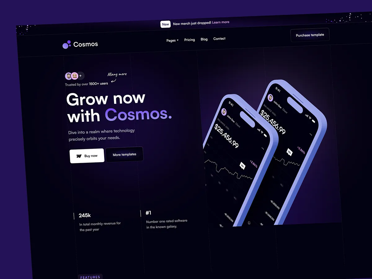 Juno Studio | Dribbble