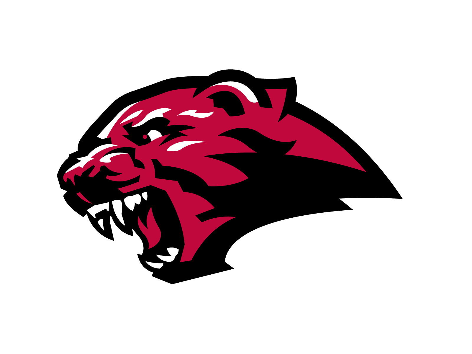 University of Cincinnati Bearcats Secondary Logo Concept Update by Sean ...