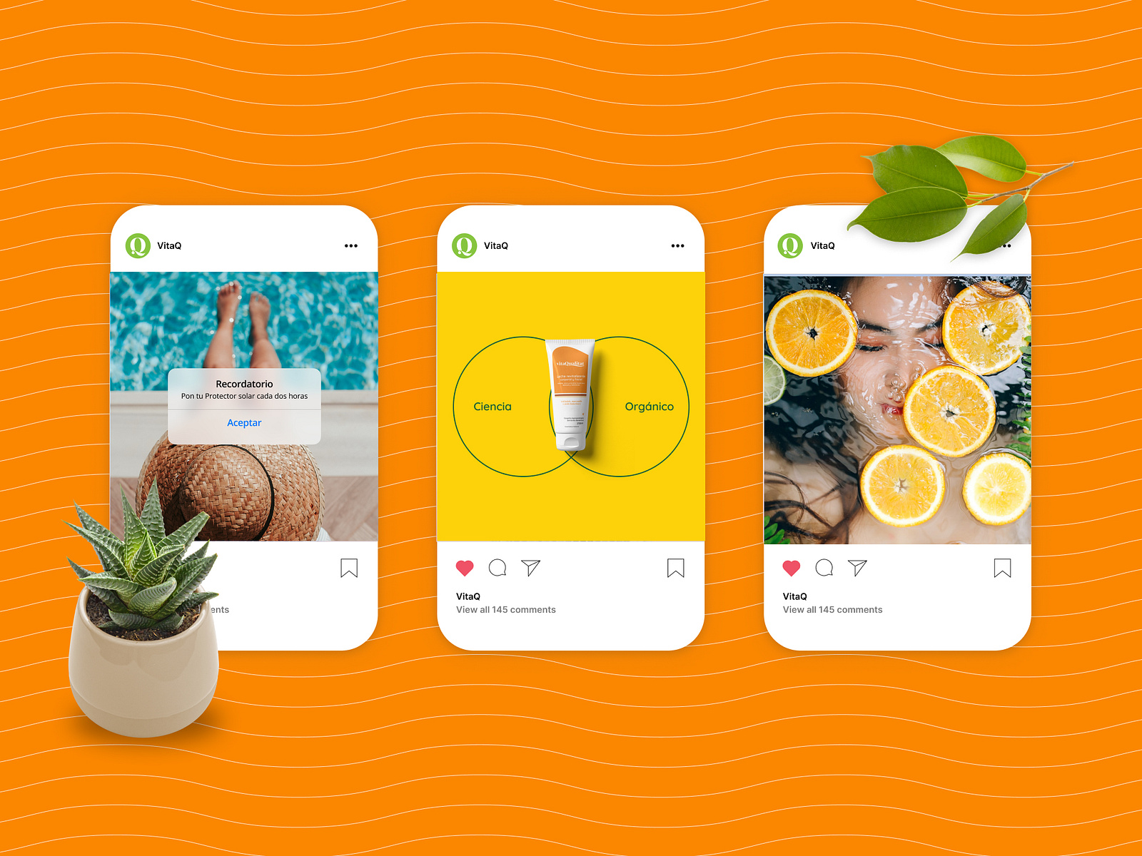 Social Posts - Brand Strategy by Vanessa López on Dribbble