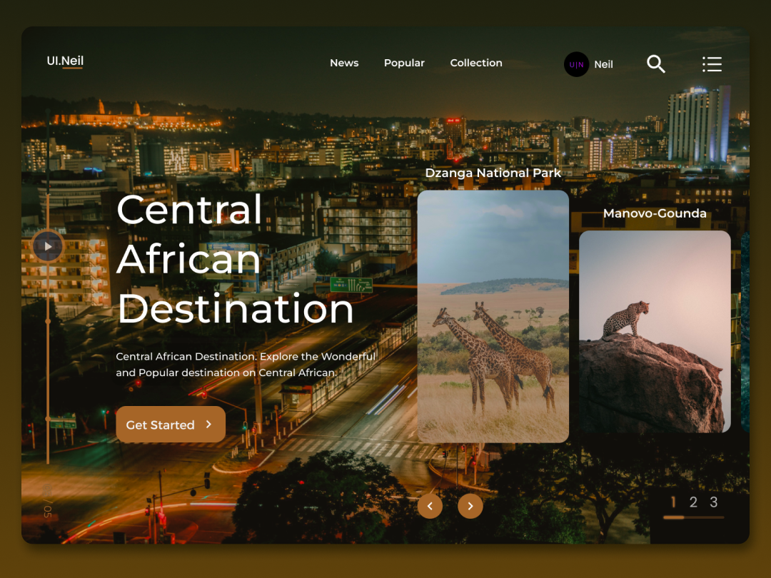 Central African Web Design by Neil Website on Dribbble