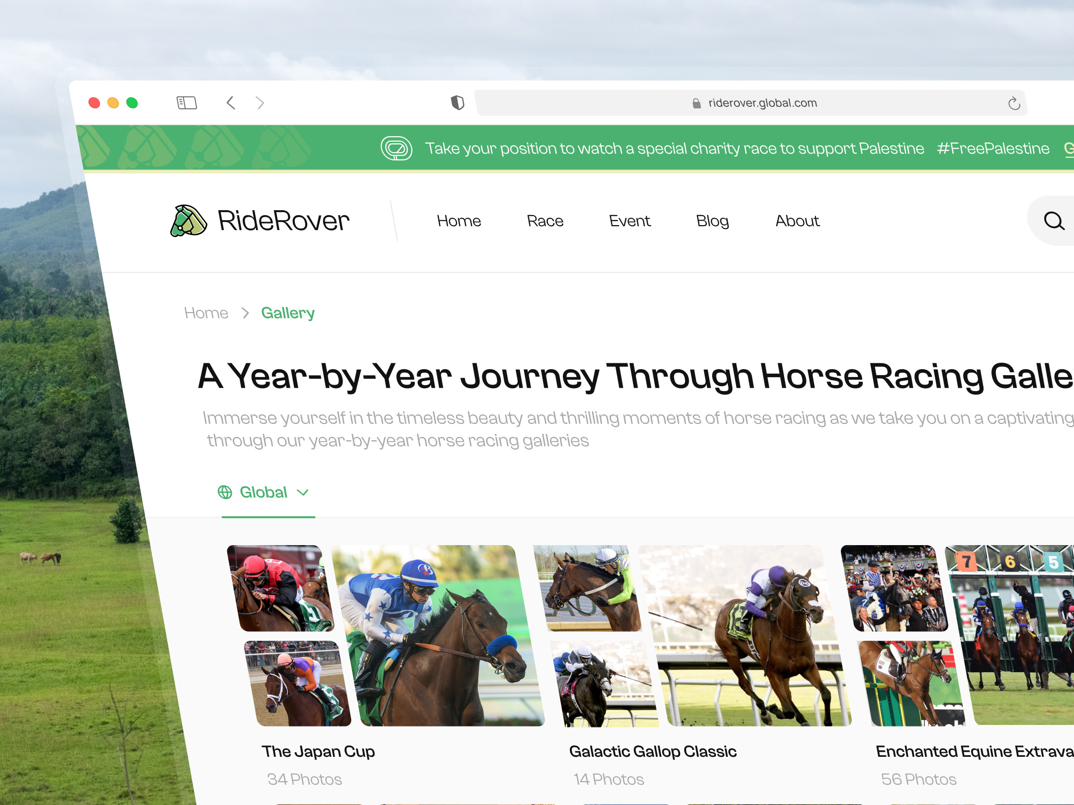 RiderRover - Horse Racing Website - Gallery Page by Mochammad Naufal 🦅 ...