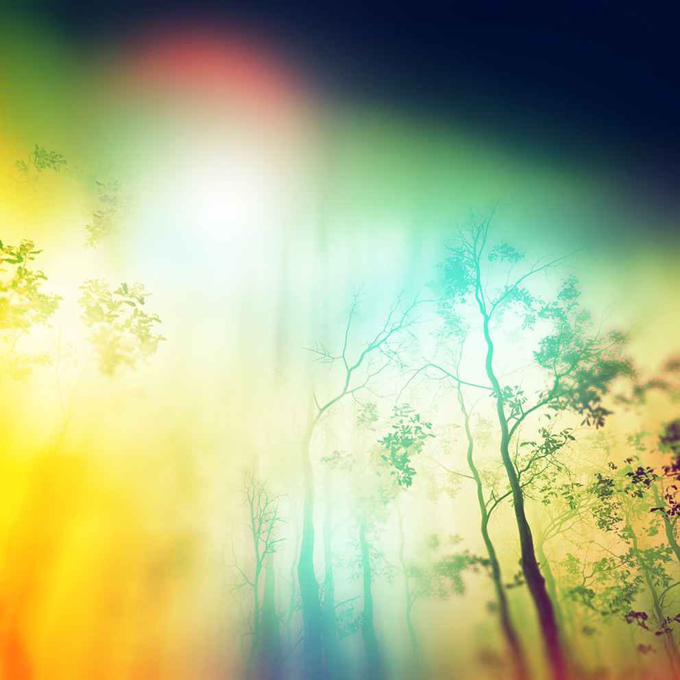 Tree montage by Chris Keegan on Dribbble