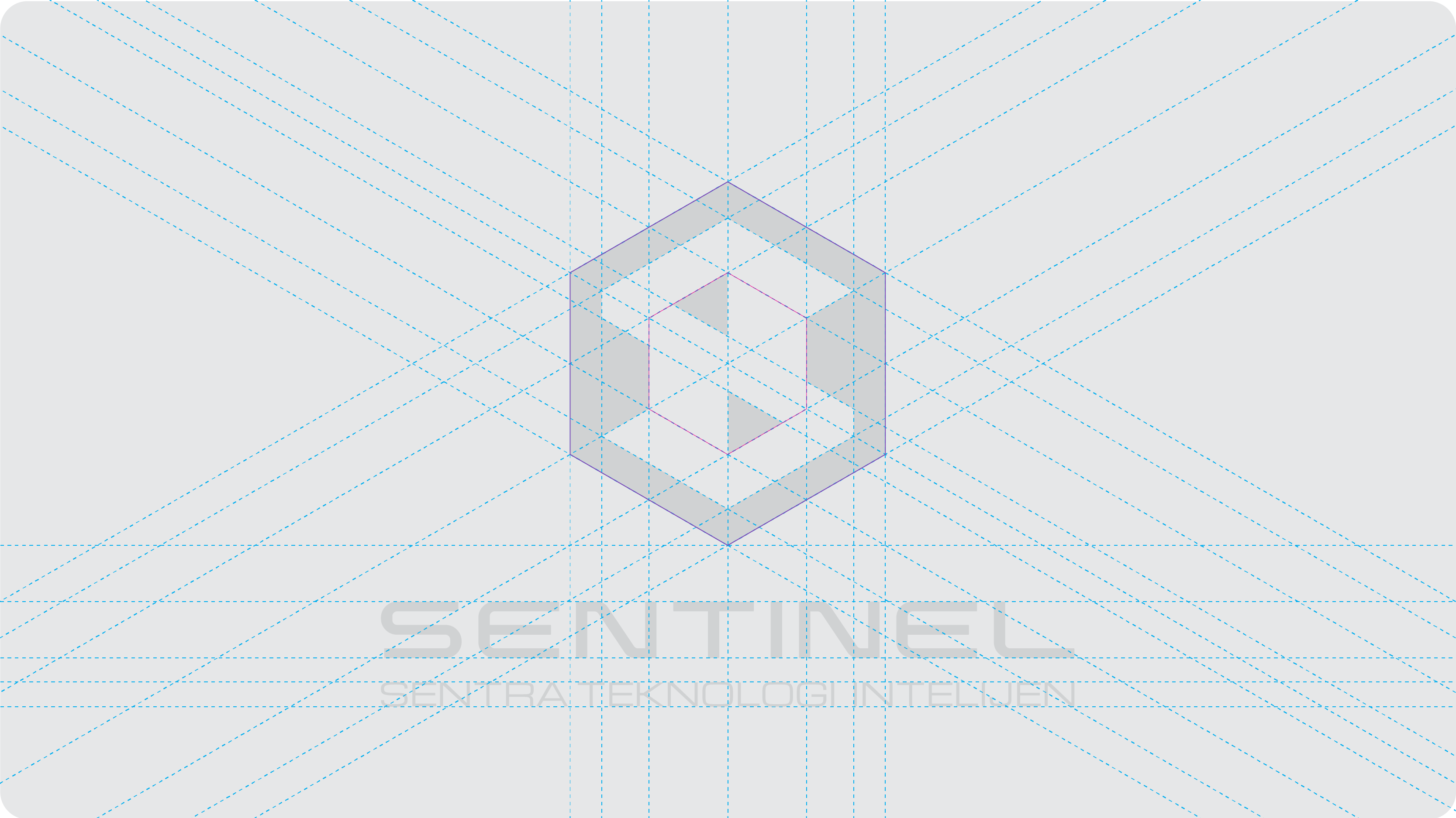 SENTINEL Logo Design by Diego Nedelcu on Dribbble