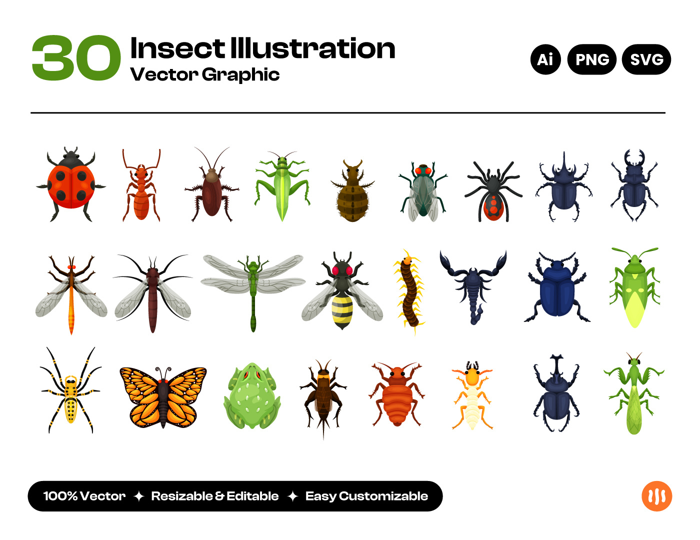 Insect Vector Collection by Git Aset Studio on Dribbble