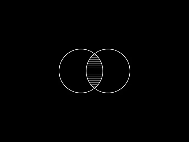 Daniel Rotter | Dribbble